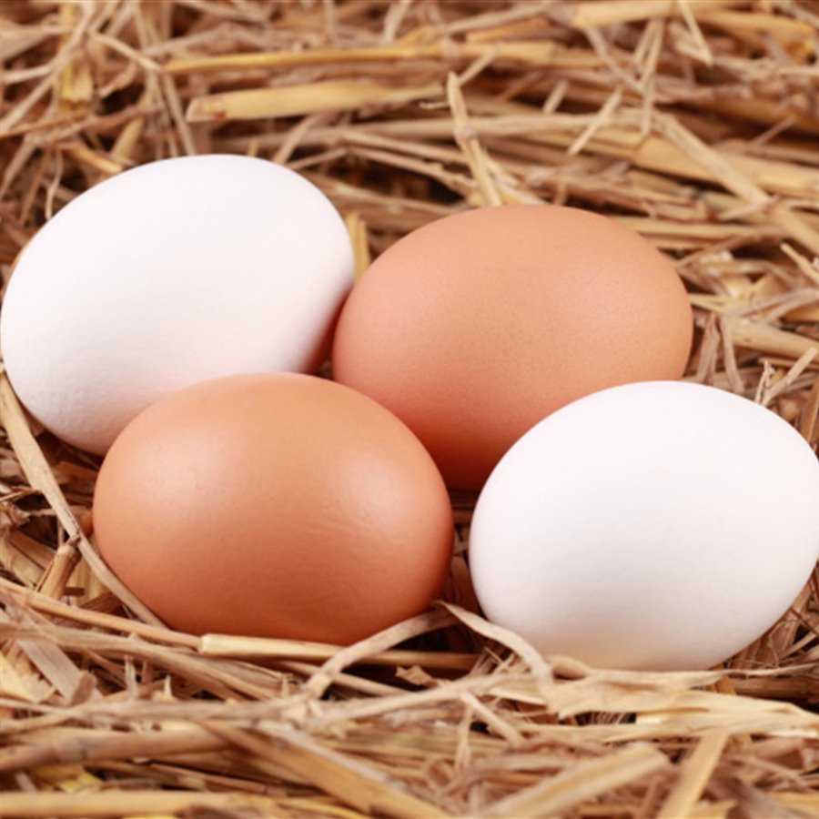 ¿Huevos blancos o rubios? ¿Cuáles son mejores?