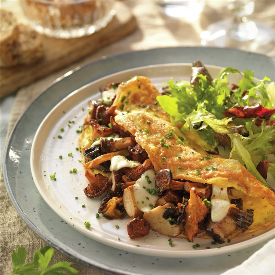 Tortilla de setas y mozzarella