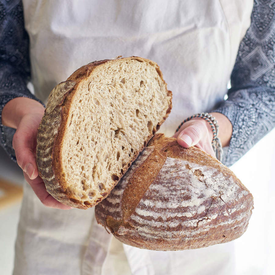 Descubre el bocado saludable que los expertos de Harvard recomiendan ...