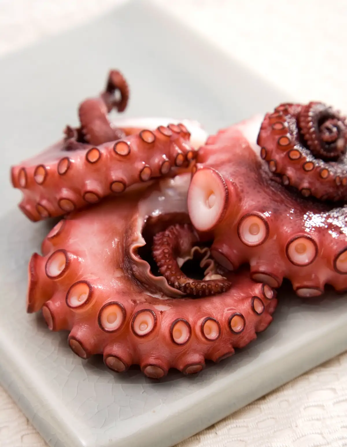 Ángel León, chef del mar y su receta de pulpo asado 'mar y montaña ...