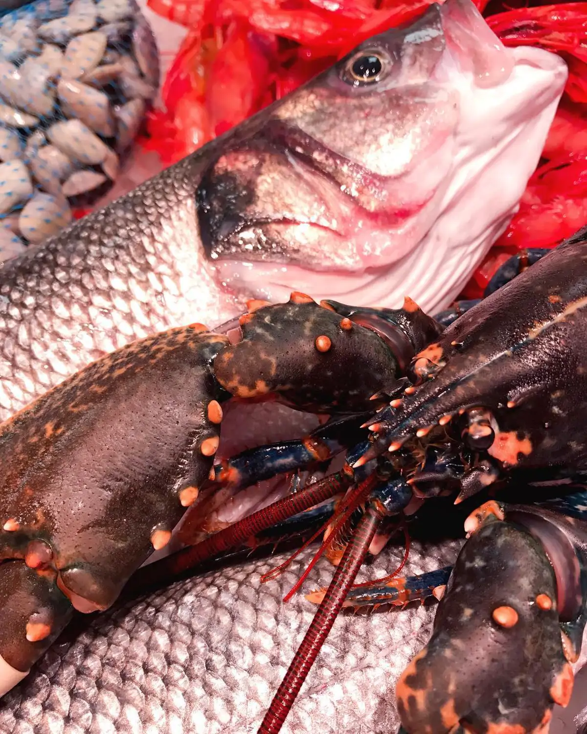 Trucos para descongelar el pescado del pescadero Pere Leyva