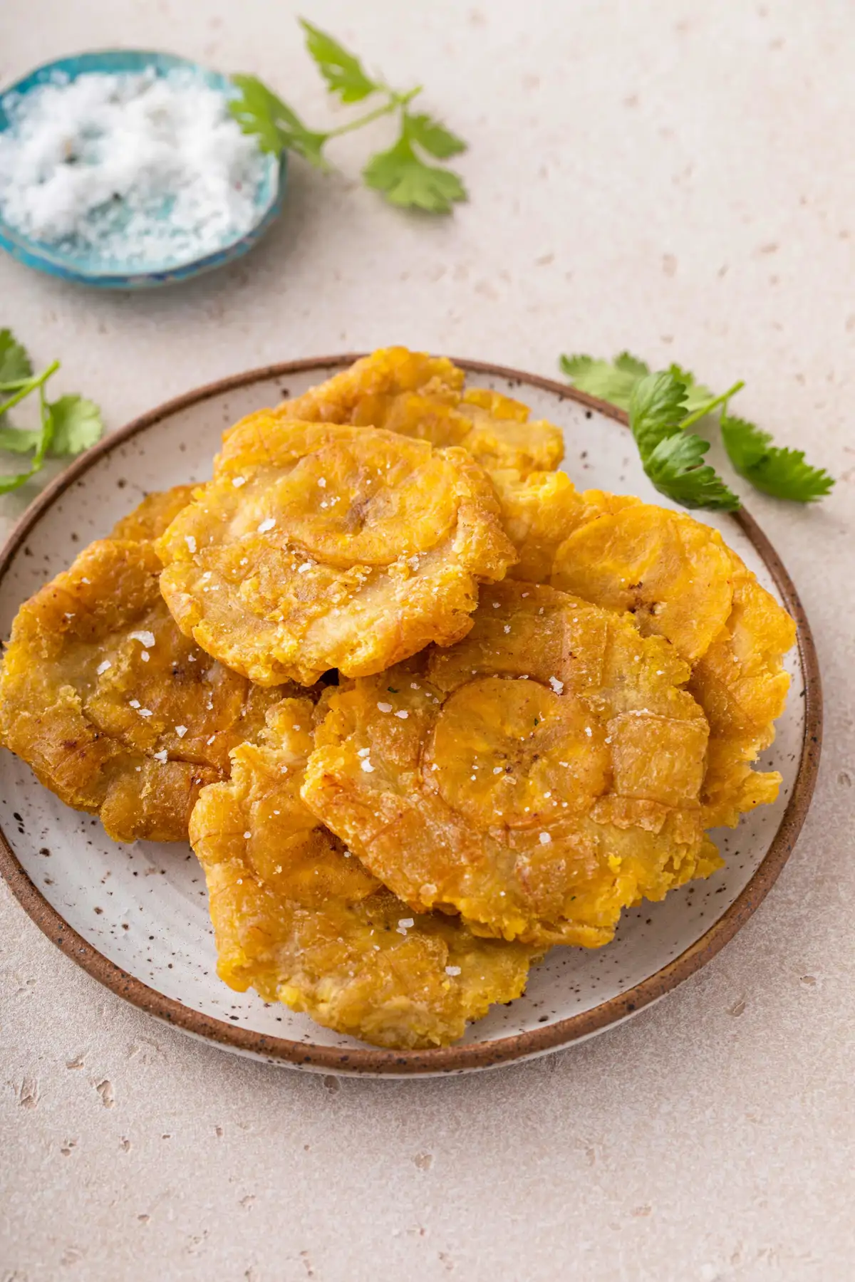 La receta puertorriqueña de la madre de Luis Fonsi: tostones de plátano