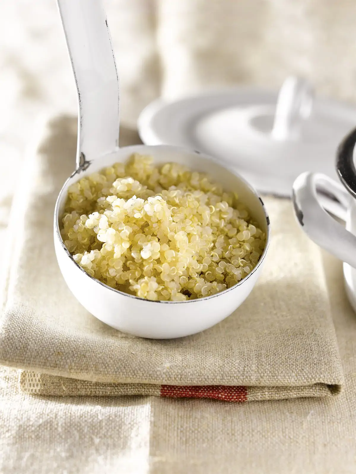 Pechuga de pollo con quinoa y verduras, un plato proteico, ligero y ...
